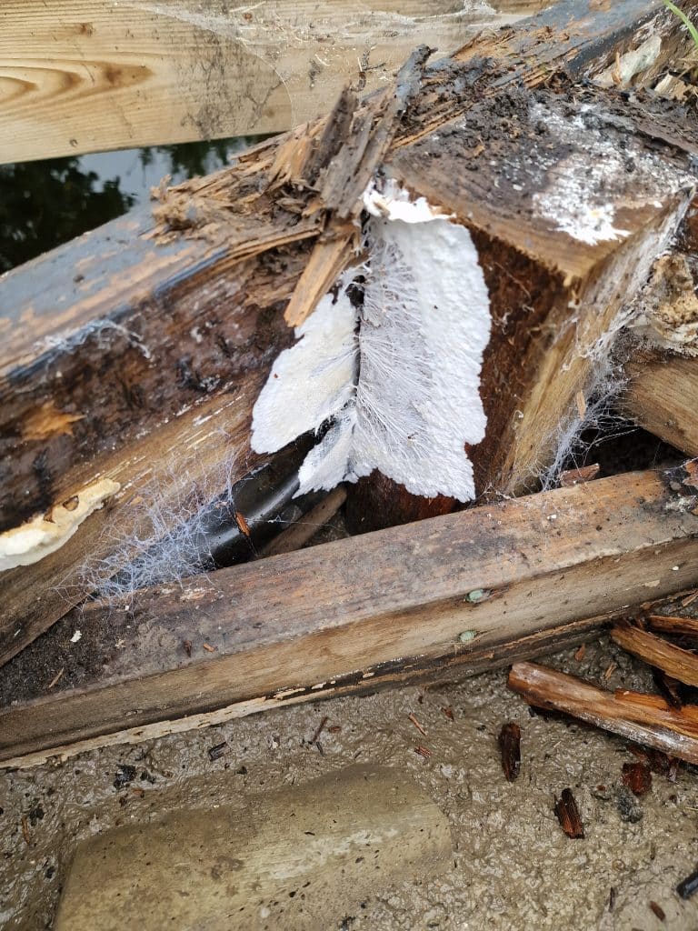How to protect timber decking - Decking Network